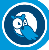 OWL: Expert Online Learning Solutions for All Learners